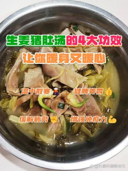 养胃猪肚汤怎么做_养胃猪肚汤适合什么人喝-第3张图片-山城妙识 养胃猪肚汤怎么做_养胃猪肚汤适合什么人喝-第3张图片-山城妙识