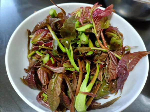 香椿怎么凉拌才好吃_香椿凉拌做法大全-第3张图片-山城妙识 香椿怎么凉拌才好吃_香椿凉拌做法大全-第3张图片-山城妙识