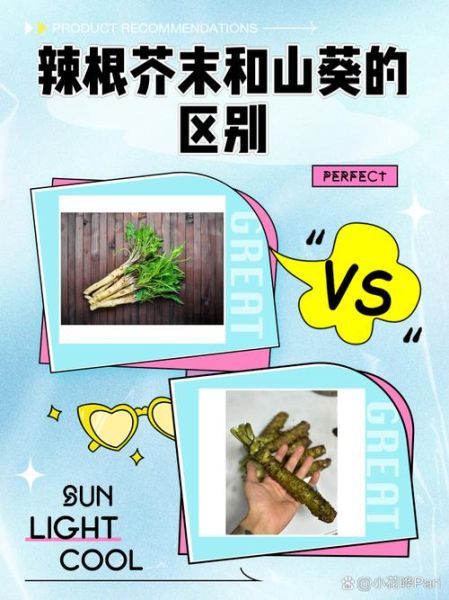 辣根是什么做的_辣根和芥末区别-第2张图片-山城妙识