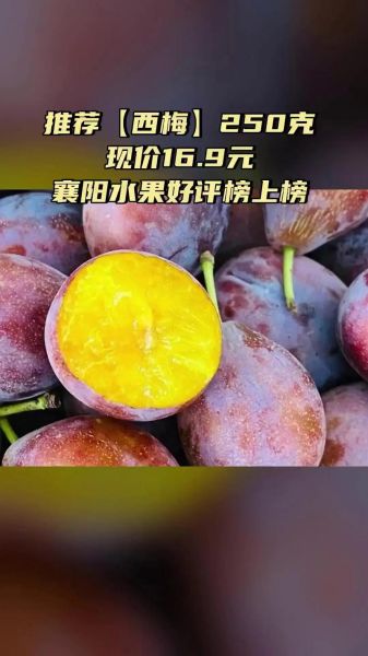 西梅app是什么_西梅app怎么用-第2张图片-山城妙识 西梅app是什么_西梅app怎么用-第2张图片-山城妙识