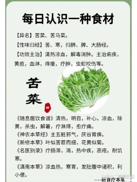 菊苣是什么_菊苣的功效与作用-第2张图片-山城妙识