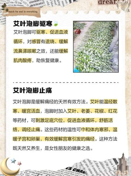 艾叶水泡脚的功效与作用_禁忌有哪些-第1张图片-山城妙识