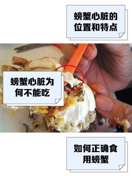 活的大闸蟹怎么杀_大闸蟹宰杀步骤-第1张图片-山城妙识