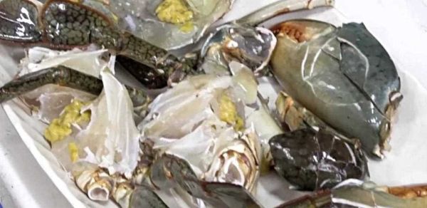 活的大闸蟹怎么杀_大闸蟹宰杀步骤-第3张图片-山城妙识