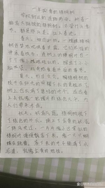 梧桐子读后感_如何写梧桐子读后感-第2张图片-山城妙识 梧桐子读后感_如何写梧桐子读后感-第2张图片-山城妙识