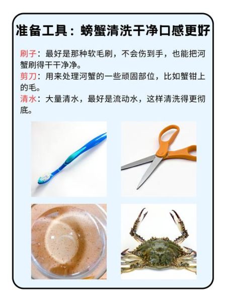 河蟹怎么清洗_河蟹清洗的正确方法-第1张图片-山城妙识 河蟹怎么清洗_河蟹清洗的正确方法-第1张图片-山城妙识