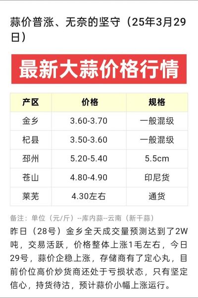 2021年7月大蒜价格走势_为什么突然暴涨-第3张图片-山城妙识 2021年7月大蒜价格走势_为什么突然暴涨-第3张图片-山城妙识
