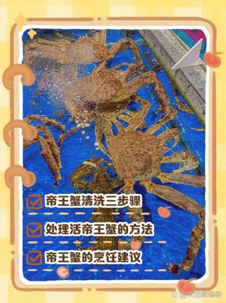 怎么洗螃蟹干净_螃蟹清洗步骤视频-第1张图片-山城妙识 怎么洗螃蟹干净_螃蟹清洗步骤视频-第1张图片-山城妙识