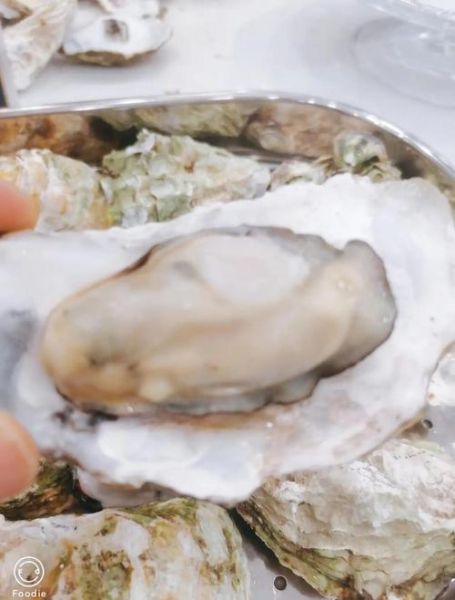 清水煮生蚝要煮多久_清水煮生蚝最简单的做法-第2张图片-山城妙识