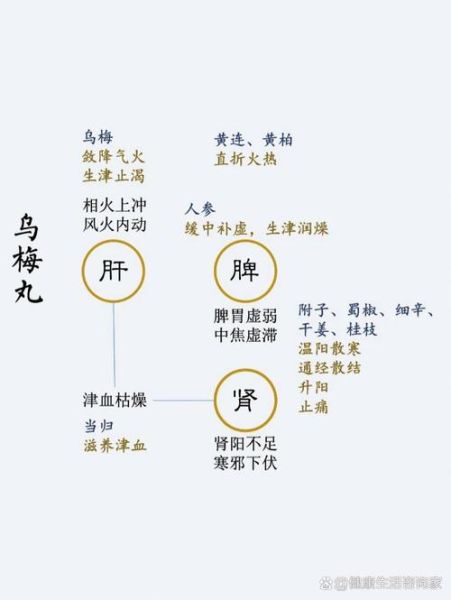 乌梅丸十种治疗方案_乌梅丸适合哪些症状-第1张图片-山城妙识