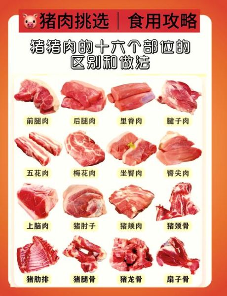 里脊肉是什么肉_里脊肉图片怎么选-第1张图片-山城妙识