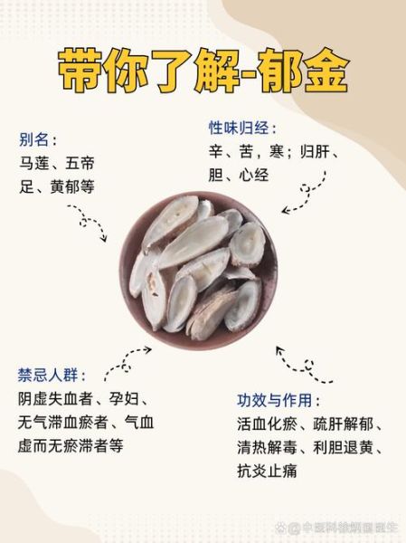 郁金的功效与作用及副作用_郁金什么人不能吃-第1张图片-山城妙识 郁金的功效与作用及副作用_郁金什么人不能吃-第1张图片-山城妙识