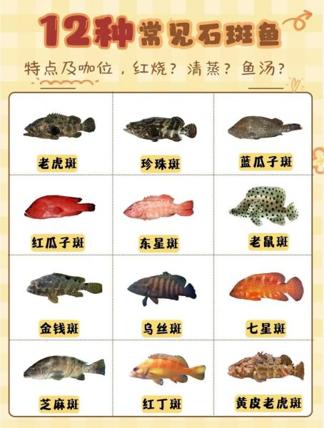 老虎斑鱼图片大全大图_老虎斑鱼怎么挑选-第2张图片-山城妙识