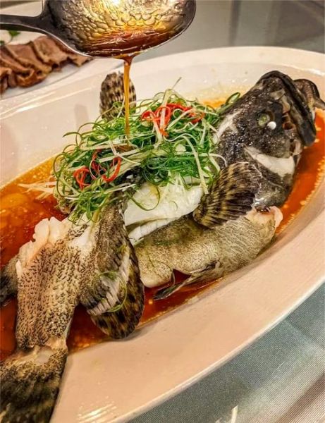 老虎斑鱼图片大全大图_老虎斑鱼怎么挑选-第3张图片-山城妙识