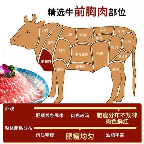 肥牛是什么肉做的_肥牛和牛肉的区别-第3张图片-山城妙识