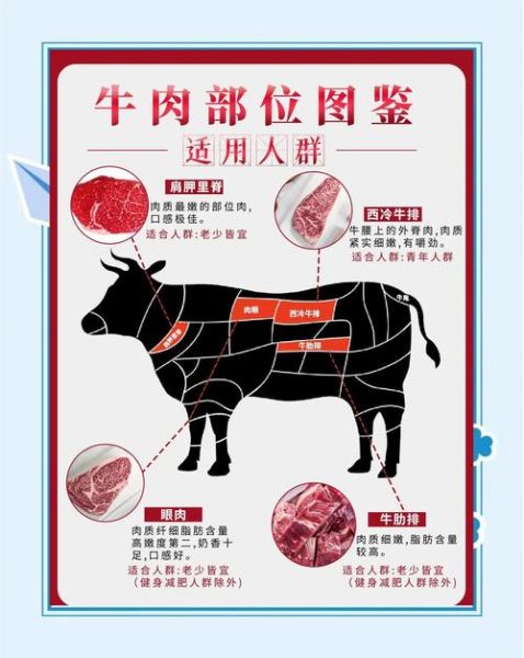 肥牛是什么肉做的_肥牛和牛肉的区别-第2张图片-山城妙识