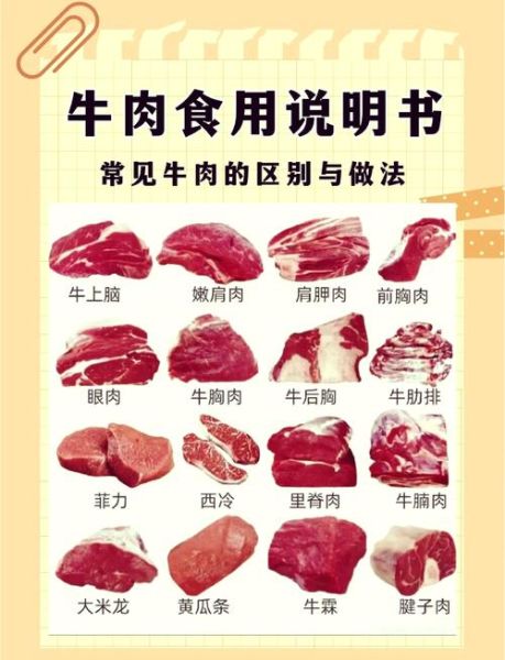 肥牛是什么肉做的_肥牛和牛肉的区别-第1张图片-山城妙识