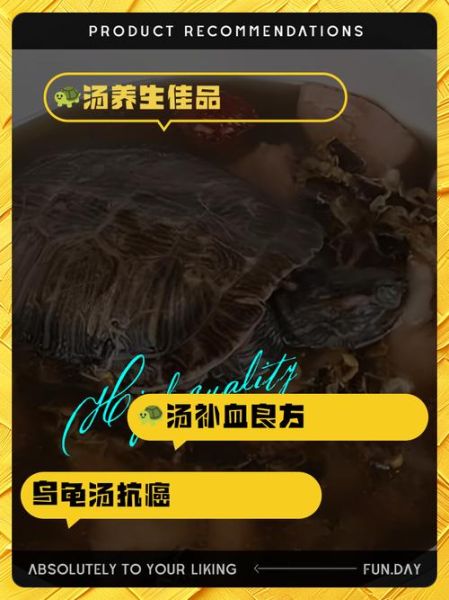 乌龟汤的功效与作用_乌龟汤适合什么人喝-第3张图片-山城妙识