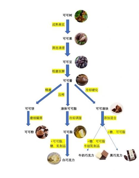巧克力原料有哪些_如何制作巧克力-第1张图片-山城妙识 巧克力原料有哪些_如何制作巧克力-第1张图片-山城妙识