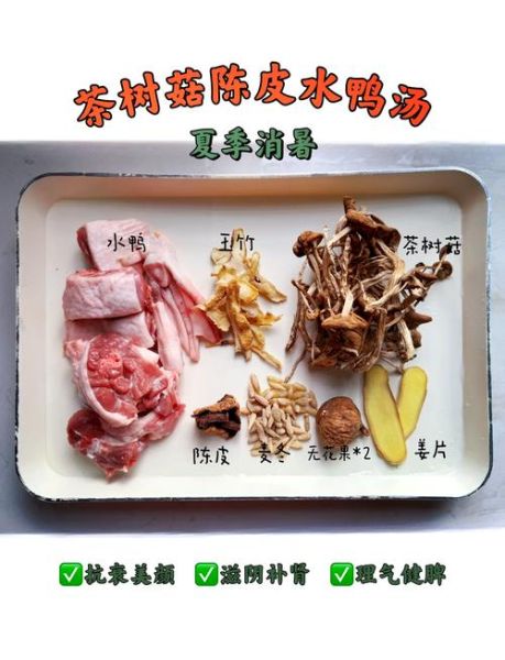 茶树菇炖老鸭汤怎么炖好喝_老鸭汤去腥技巧-第1张图片-山城妙识