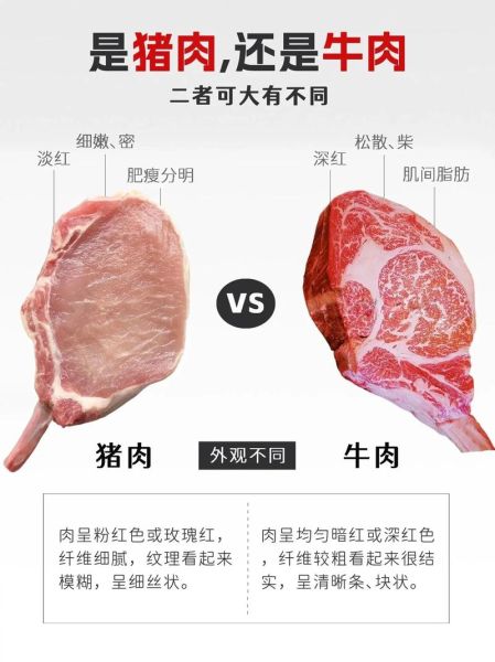 马肉和牛肉哪个营养价值高_马肉牛肉营养对比-第2张图片-山城妙识 马肉和牛肉哪个营养价值高_马肉牛肉营养对比-第2张图片-山城妙识