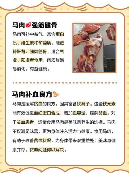 马肉和牛肉哪个营养价值高_马肉牛肉营养对比-第1张图片-山城妙识 马肉和牛肉哪个营养价值高_马肉牛肉营养对比-第1张图片-山城妙识