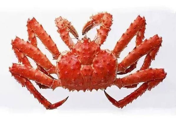 珍宝蟹怎么挑选_珍宝蟹和帝王蟹区别-第1张图片-山城妙识