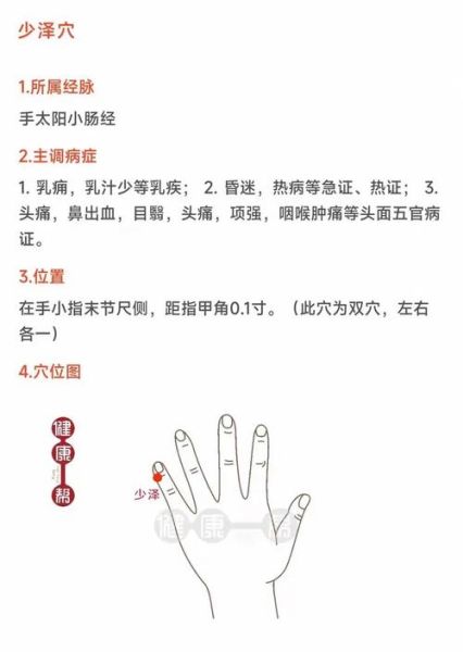 小肠经堵塞的症状_如何疏通小肠经-第1张图片-山城妙识