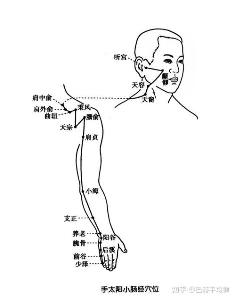 小肠经堵塞的症状_如何疏通小肠经-第2张图片-山城妙识