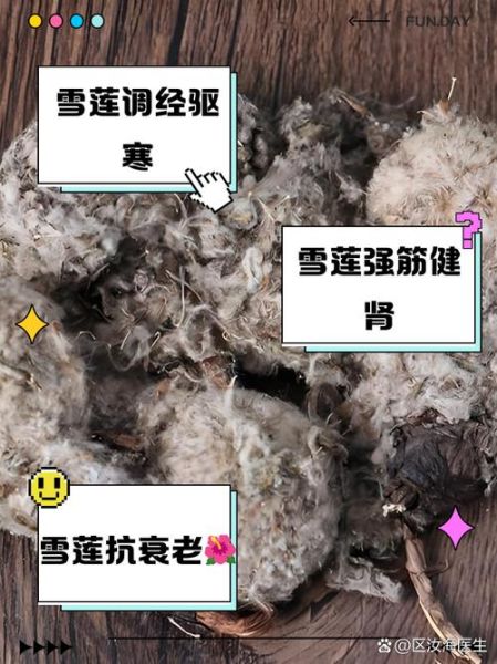 干雪莲花怎么吃_干雪莲花食用方法-第1张图片-山城妙识