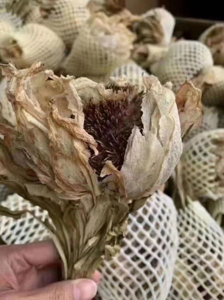 干雪莲花怎么吃_干雪莲花食用方法-第3张图片-山城妙识