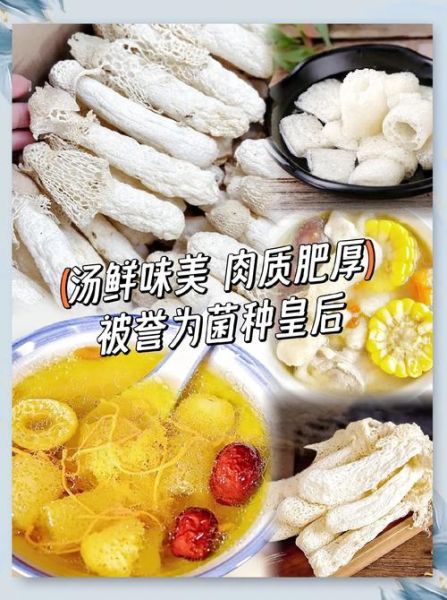 竹荪怎么炒好吃_竹荪炒什么菜最香-第1张图片-山城妙识