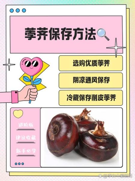 荸荠怎么去皮_荸荠的功效与作用-第1张图片-山城妙识