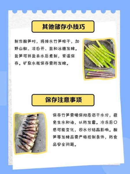 竹笋要焯水吗_新鲜竹笋怎么处理-第2张图片-山城妙识 竹笋要焯水吗_新鲜竹笋怎么处理-第2张图片-山城妙识