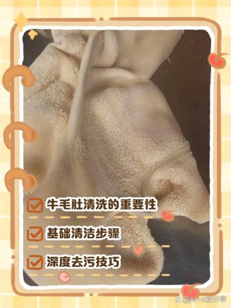 牛肚里面是屎吗_牛肚清洗方法-第1张图片-山城妙识 牛肚里面是屎吗_牛肚清洗方法-第1张图片-山城妙识