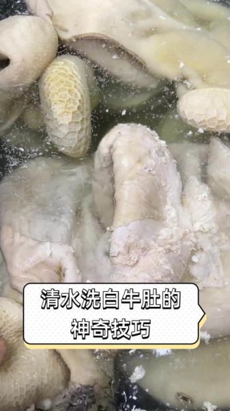 牛肚里面是屎吗_牛肚清洗方法-第3张图片-山城妙识 牛肚里面是屎吗_牛肚清洗方法-第3张图片-山城妙识