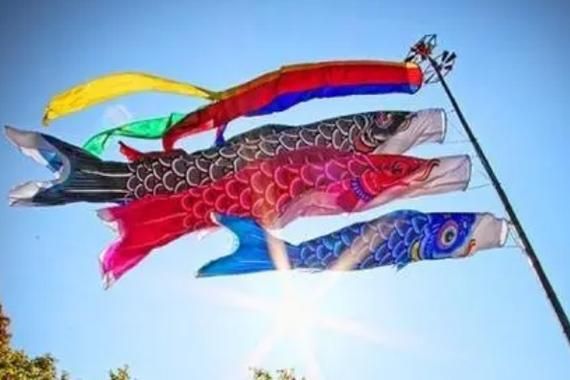 鲤鱼旗的含义_鲤鱼旗代表什么-第1张图片-山城妙识