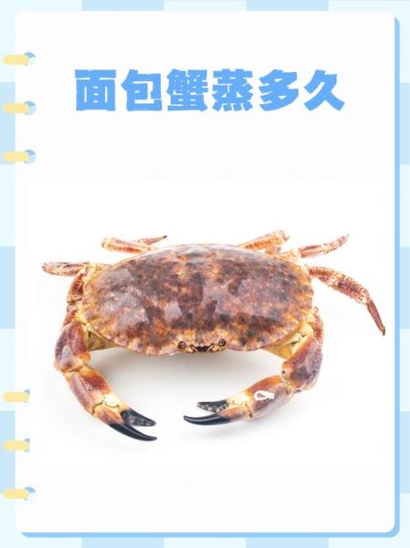 熟冻面包蟹蒸多长时间_蒸多久才熟-第1张图片-山城妙识