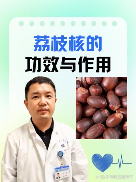 荔枝核的功效与作用_荔枝核能治疗哪些疾病-第2张图片-山城妙识