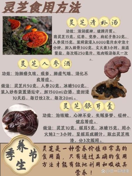 灵芝怎么吃最好_灵芝的正确食用方法-第3张图片-山城妙识