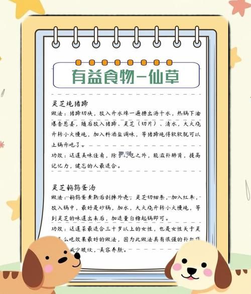 灵芝怎么吃最好_灵芝的正确食用方法-第1张图片-山城妙识