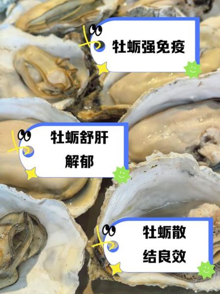 牡蛎的功效与作用_牡蛎在中药里怎么用-第3张图片-山城妙识