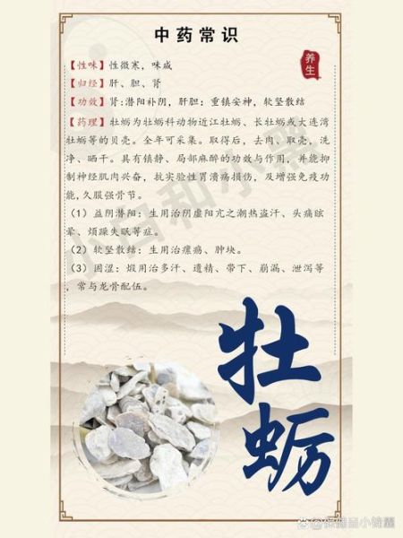 牡蛎的功效与作用_牡蛎在中药里怎么用-第2张图片-山城妙识