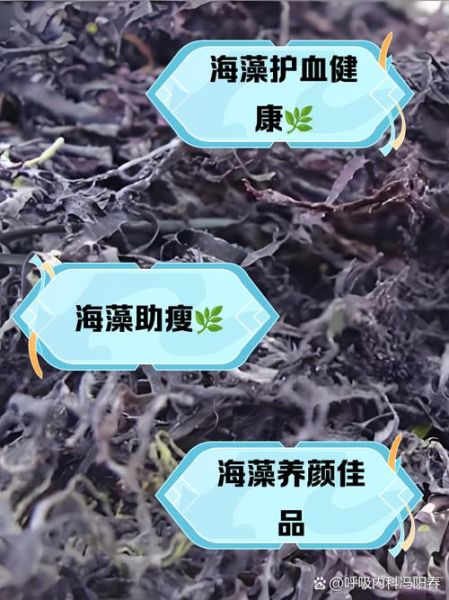 海藻的功效与作用是什么_吃海藻真的能减肥吗-第1张图片-山城妙识