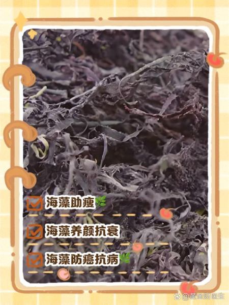 海藻的功效与作用是什么_吃海藻真的能减肥吗-第2张图片-山城妙识