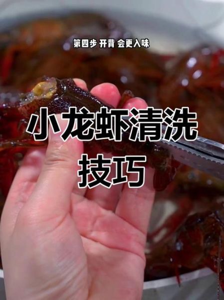 大龙虾怎么洗干净_大龙虾清洗步骤图解-第3张图片-山城妙识