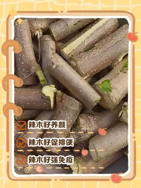 辣木籽的正确吃法与功效_辣木籽一天吃几粒最好-第1张图片-山城妙识 辣木籽的正确吃法与功效_辣木籽一天吃几粒最好-第1张图片-山城妙识