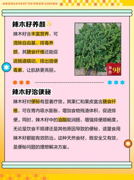 辣木籽的正确吃法与功效_辣木籽一天吃几粒最好-第2张图片-山城妙识 辣木籽的正确吃法与功效_辣木籽一天吃几粒最好-第2张图片-山城妙识