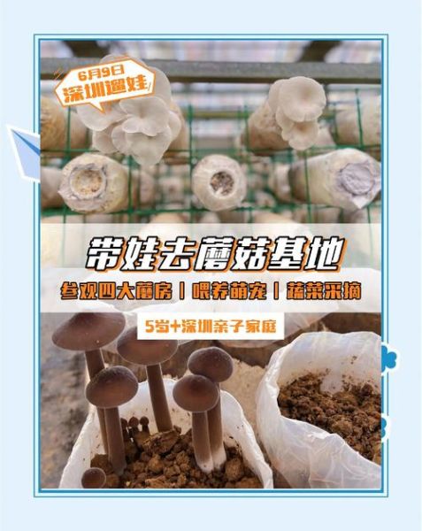 蘑菇种植技术培训班多少钱_零基础能学会吗-第1张图片-山城妙识