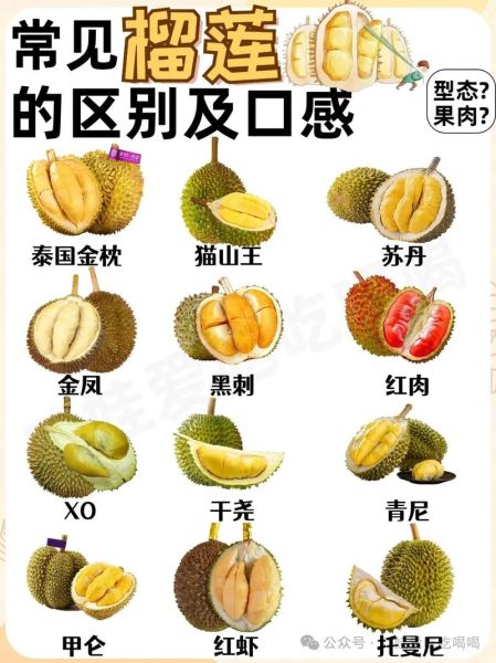 榴莲品种识别图怎么看_常见榴莲怎么区分-第1张图片-山城妙识
